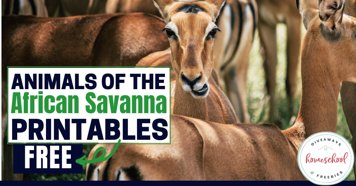 FREE Animals of the African Savanna Printables