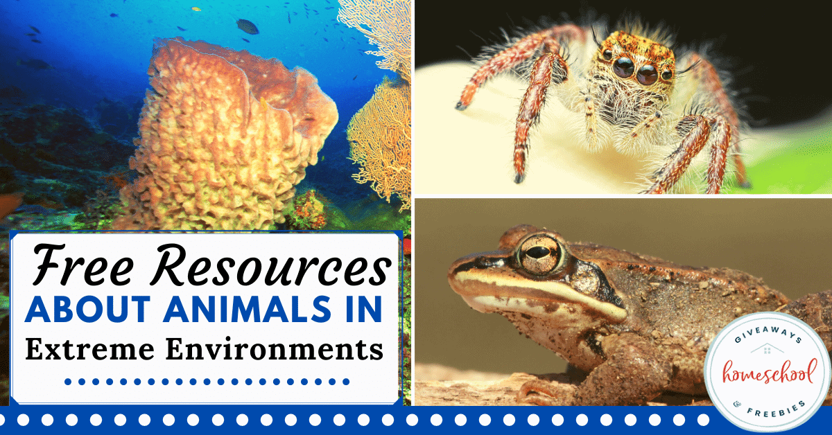 Free Resources About Animals in Extreme Environments