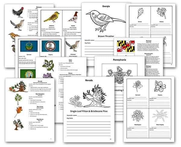 50 States Resources - Songs & Videos to Learn the States & Capitals