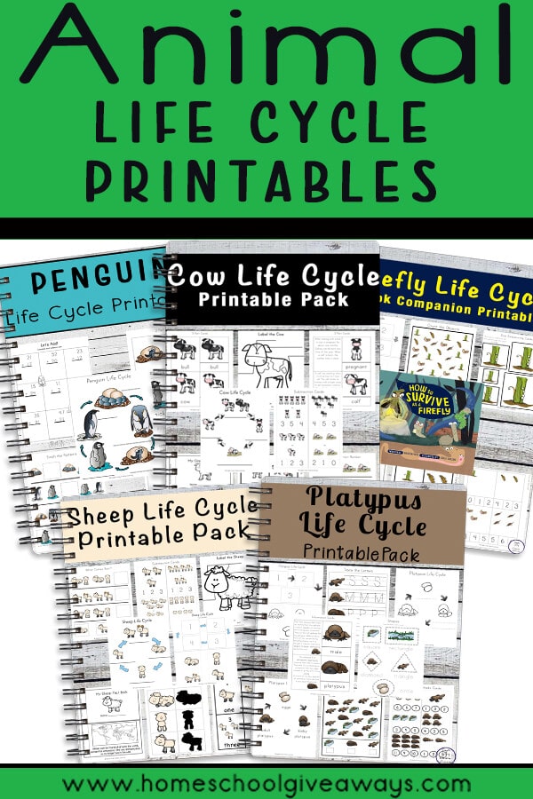 Free Animal Life Cycle Printables