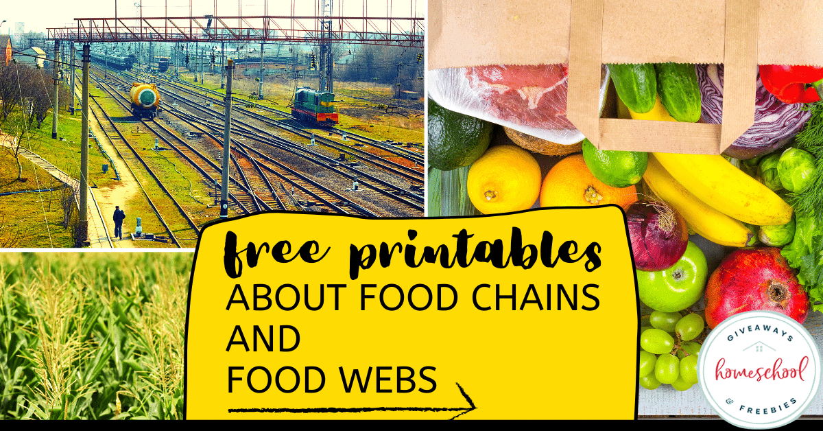 Free Printables About Food Chains and Food Webs
