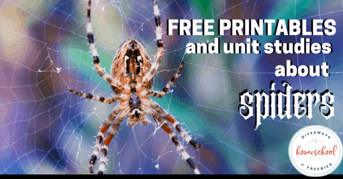 Free Printables and Unit Studies About Spiders