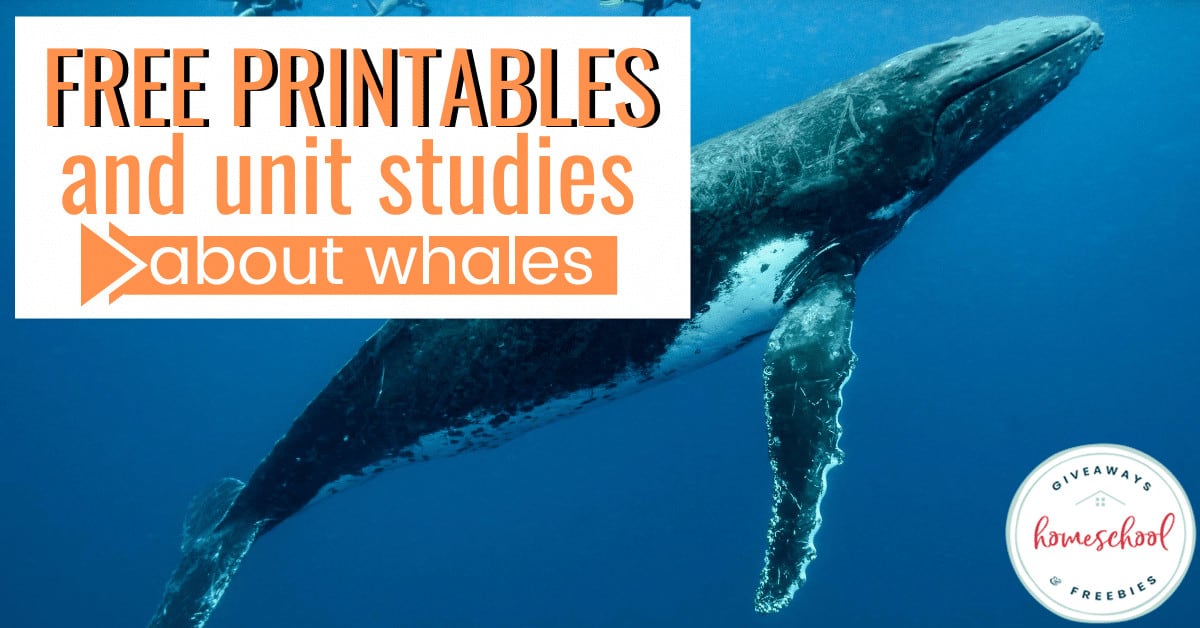 Free Printables and Unit Studies About Whales