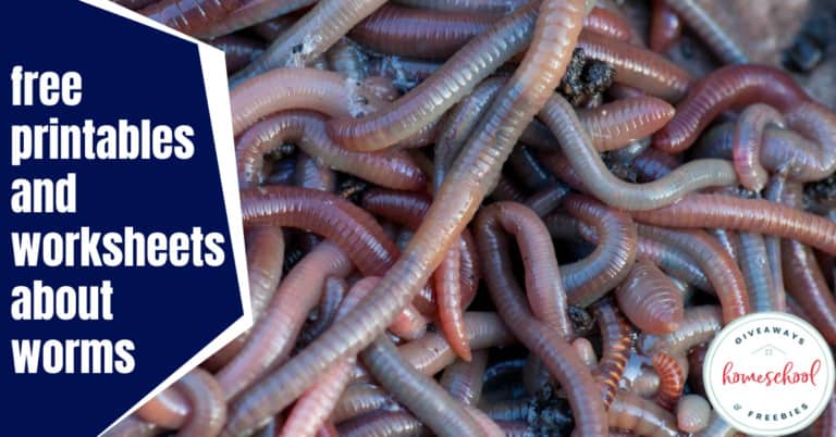 FREE Printables and Worksheets About Worms