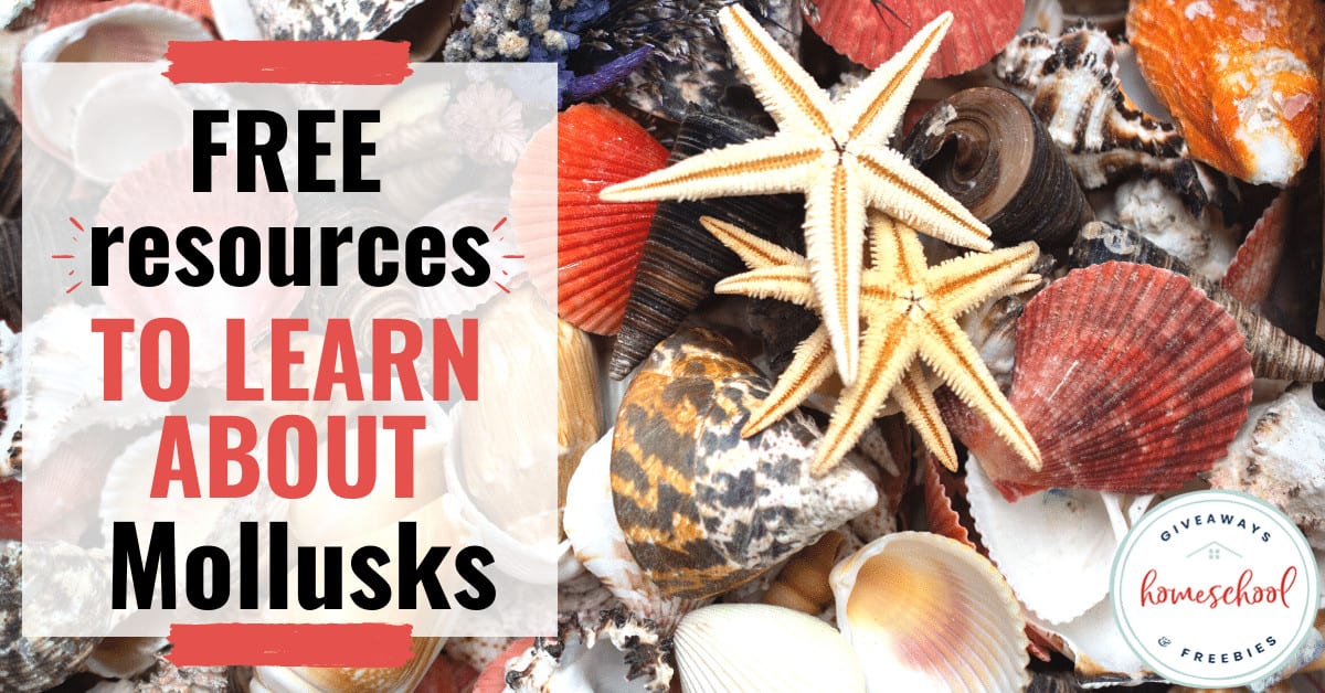 Free Resources to Learn About Mollusks