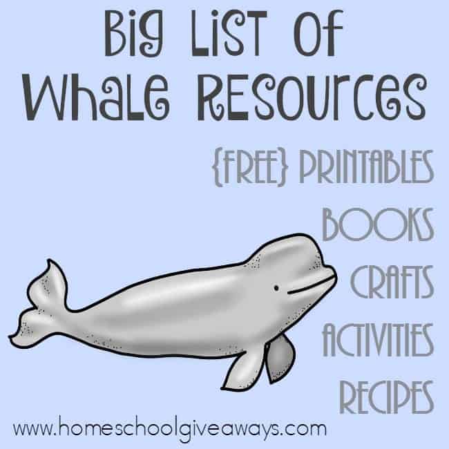Free Printables and Unit Studies About Whales