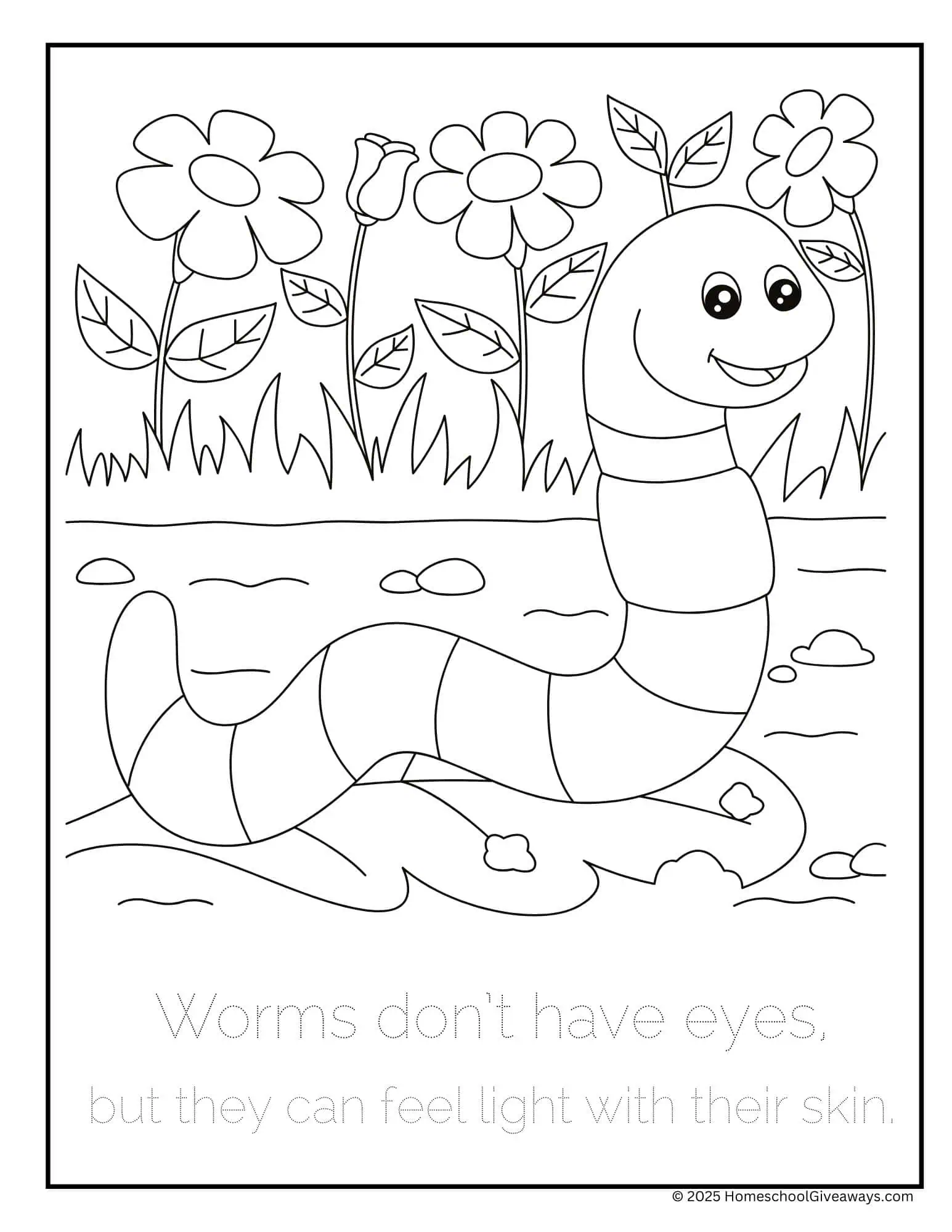 Free & Fun Worm Worksheets, Coloring Page, and Resources