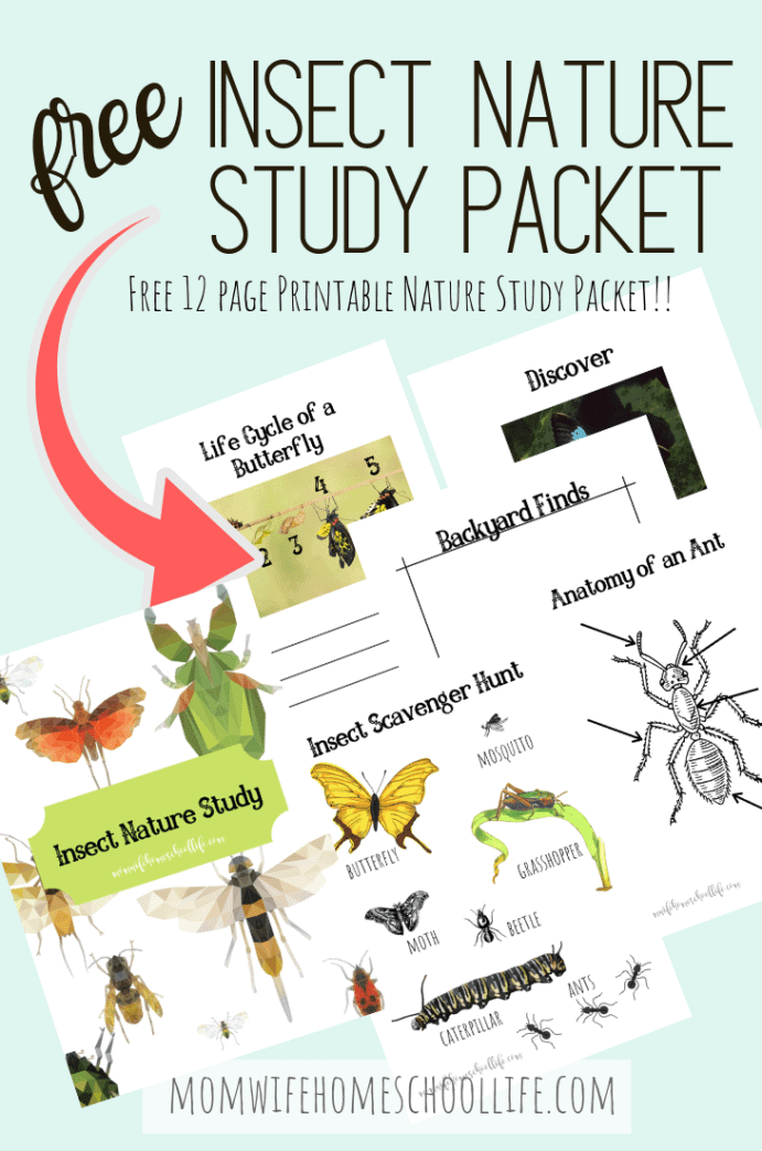 Free Resources to Learn About Arthropods