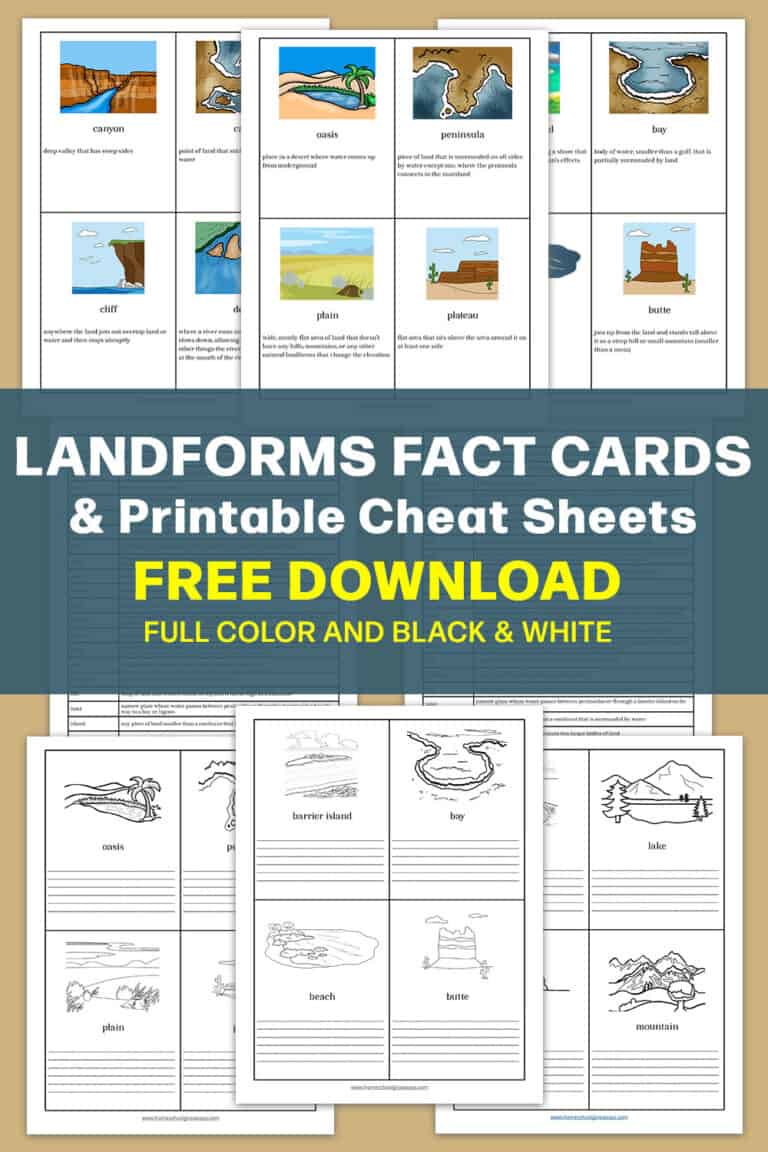 Landform Worksheets and Free Printable Activities