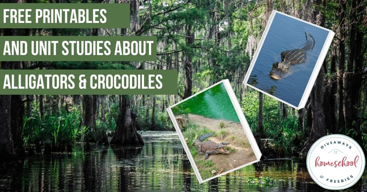 Free Printables and Unit Studies About Alligators & Crocodiles