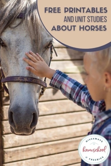 24 Fantastic Horse Printables & Activities