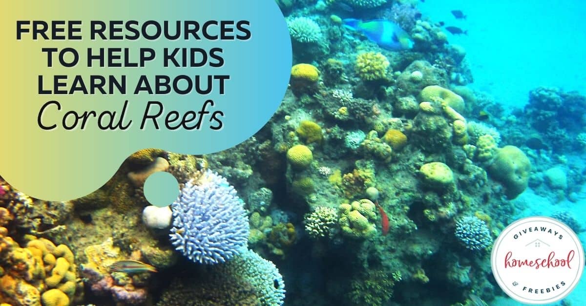 Free Resources to Help Kids Learn About Coral Reefs