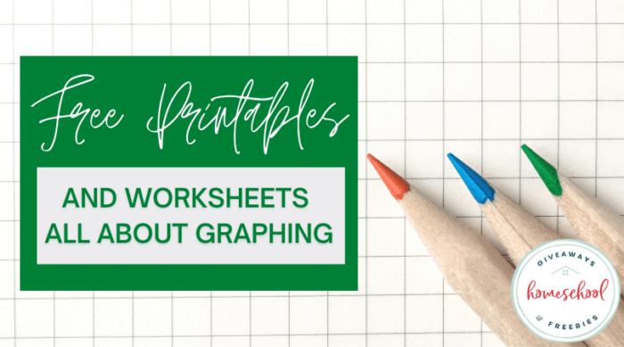 Free Printable Graphing Worksheets for Elementary Students