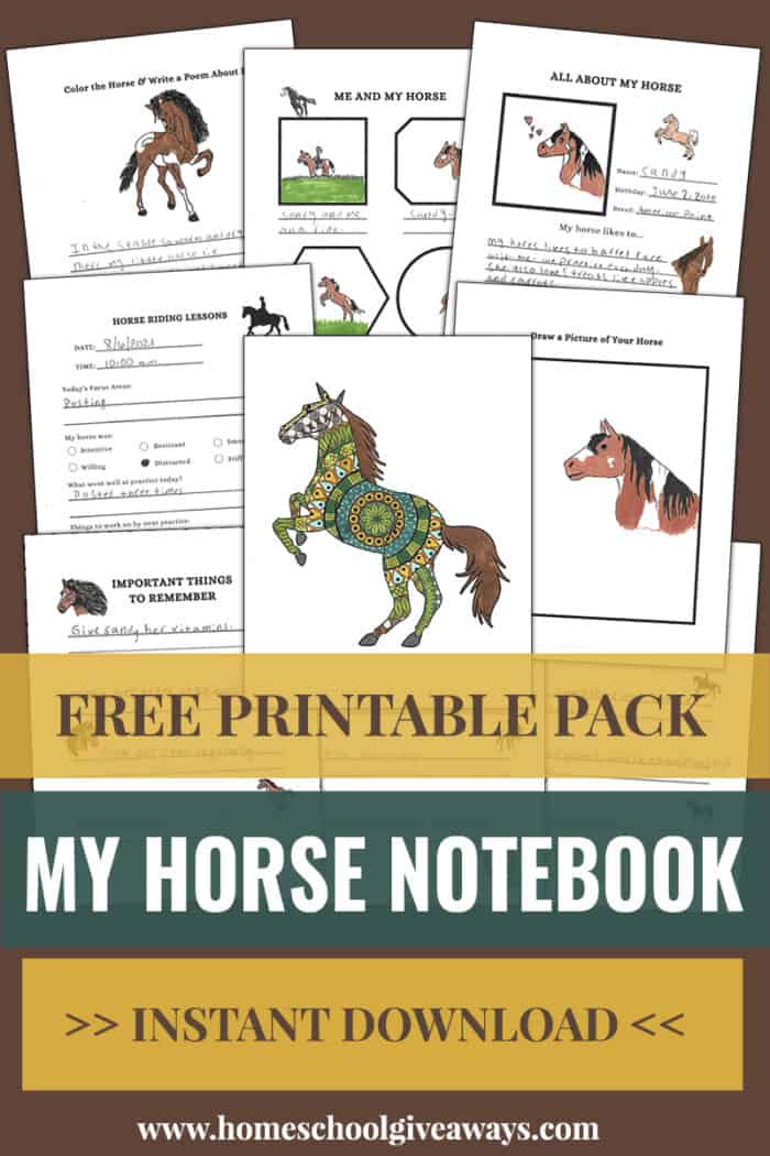 How to Keep a Horse Journal (Free Horse Notebook)