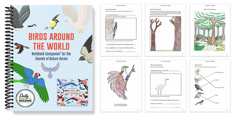 Printable Coloring Pages to Celebrate Spring