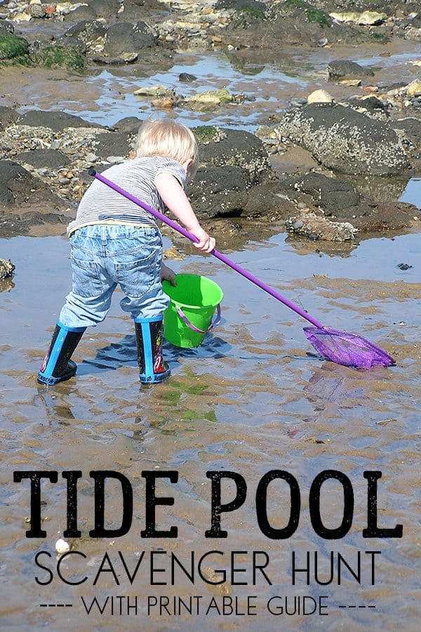 40 Top Scavenger Hunt Ideas Kids Love