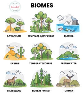 Learning About Types of Biomes and What Lives There