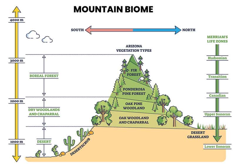 Learning About Types of Biomes and What Lives There