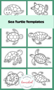 Free Printable Sea Turtle Coloring Pages & Templates