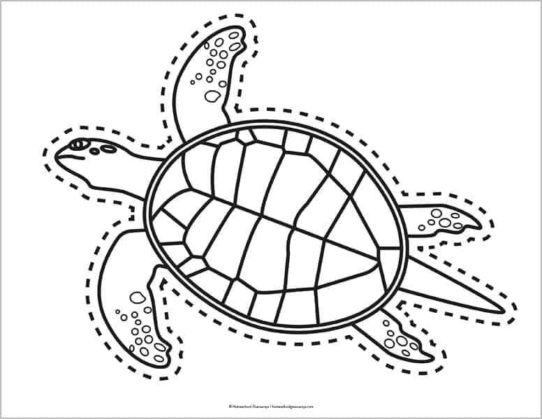 Free Printable Sea Turtle Coloring Pages & Templates