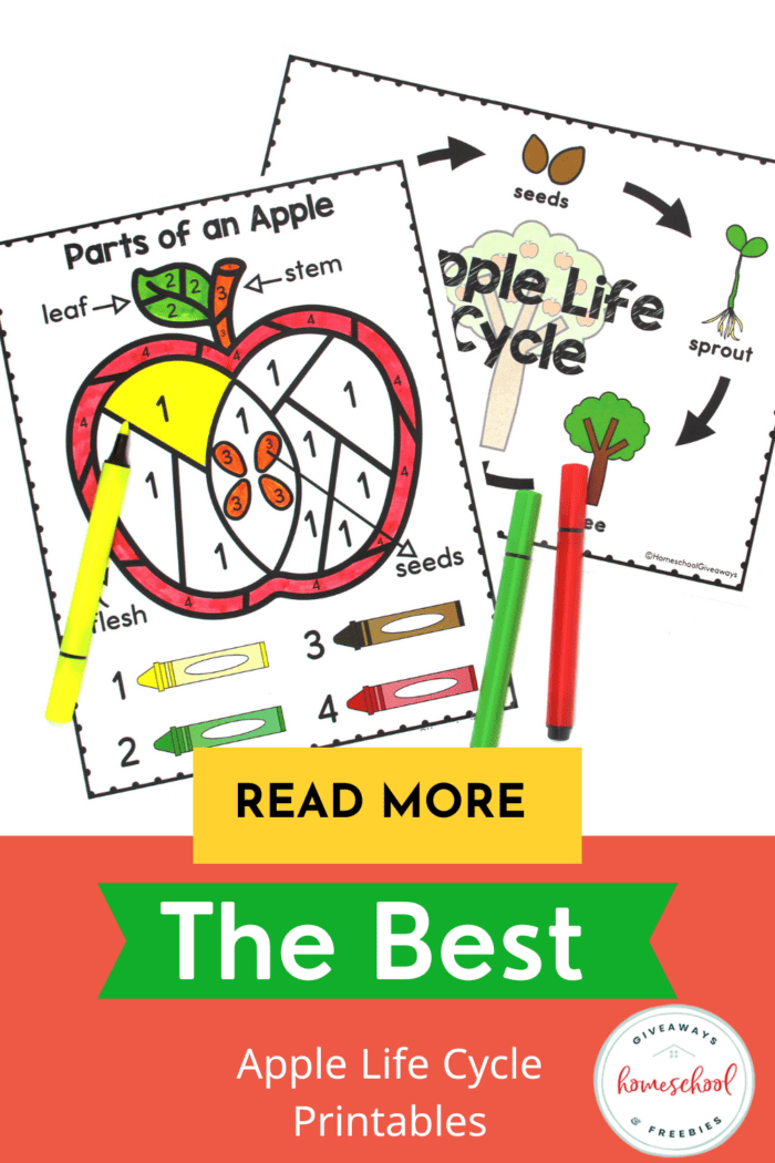 Fun Apple Life Cycle Activities for Kids with Free Printable