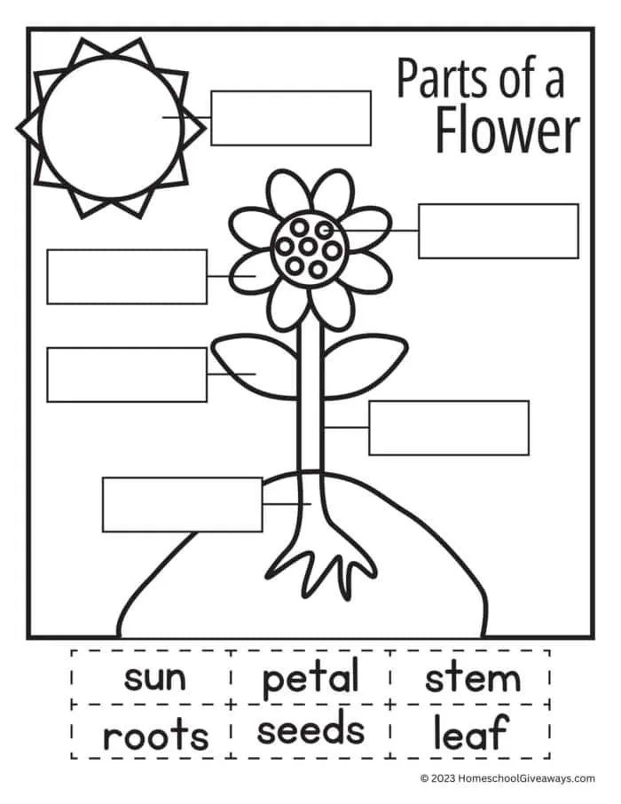 75 FREE Flower Coloring Pages Perfect For All Ages 75 FREE Flower Coloring Pages Perfect For All Ages
